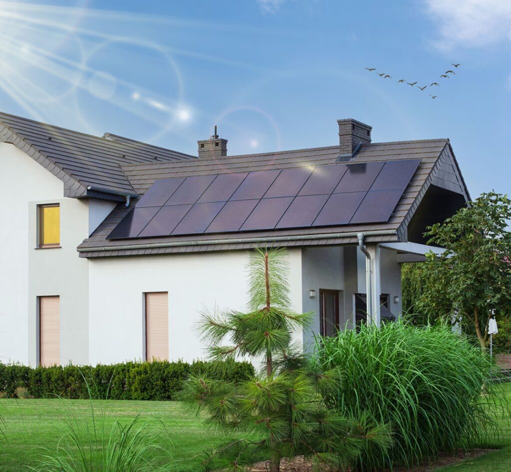 Know About us - True Solar Nation